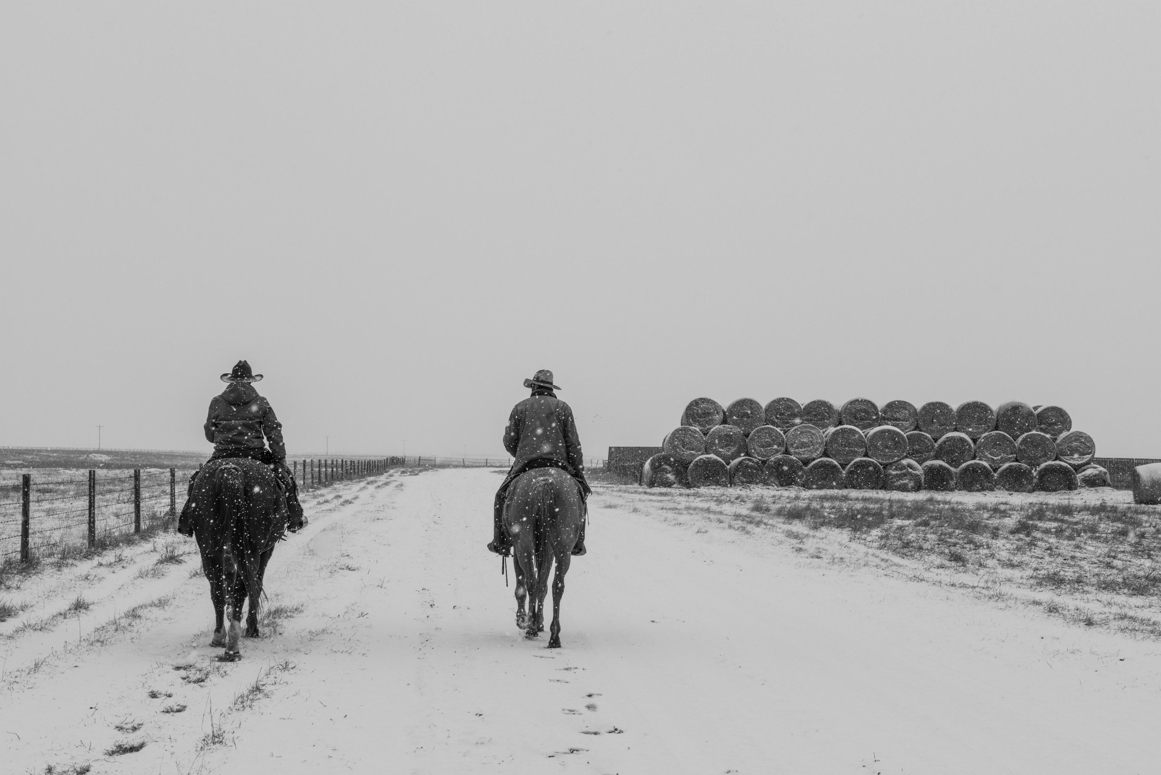 The Last Cowboys of Canada | NUVO