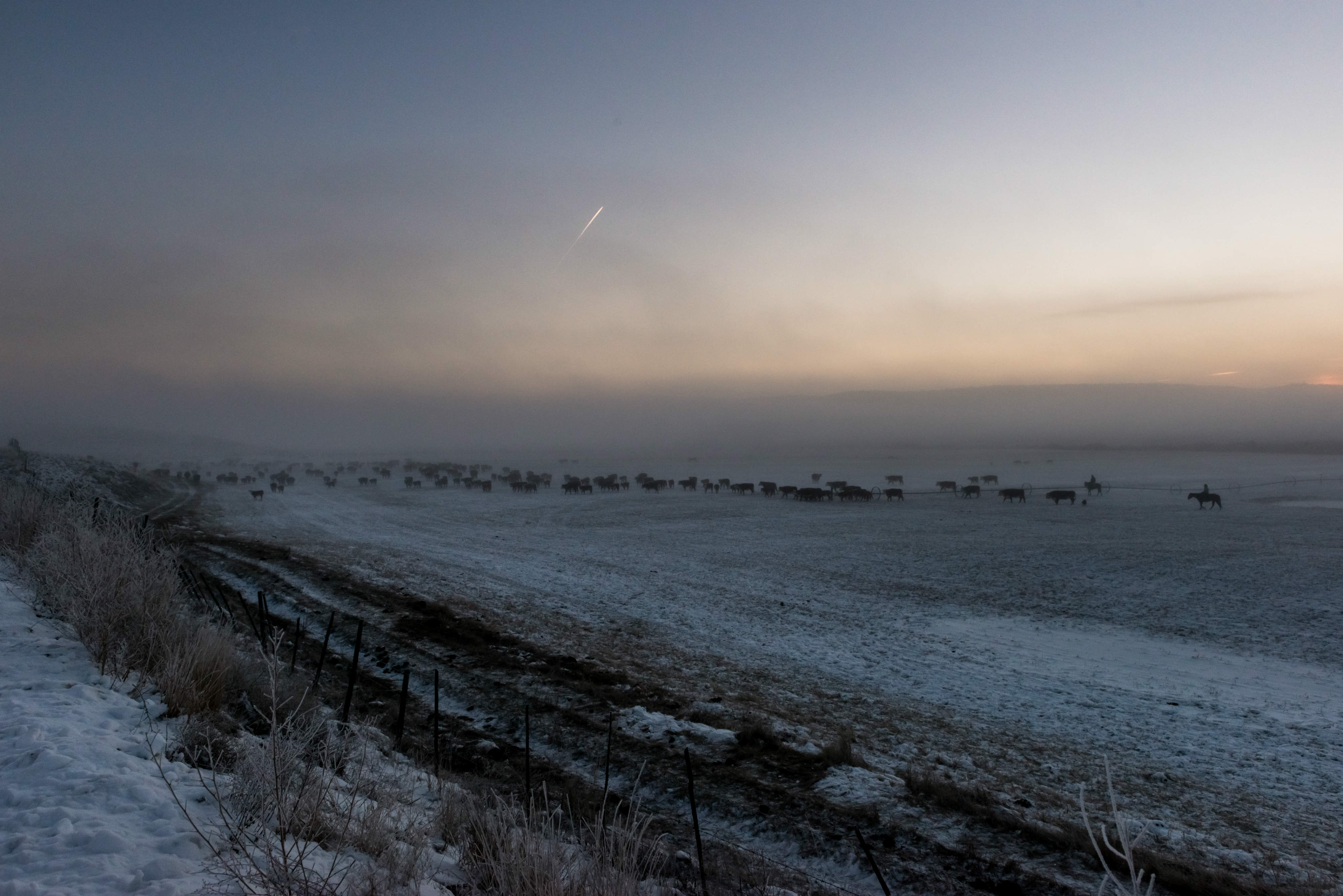 The Last Cowboys of Canada | NUVO