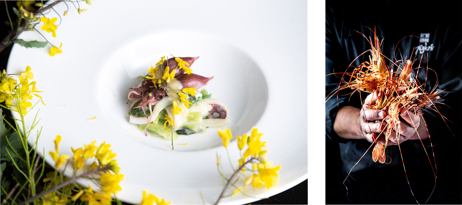 Chef Hidekazu Tojo | NUVO