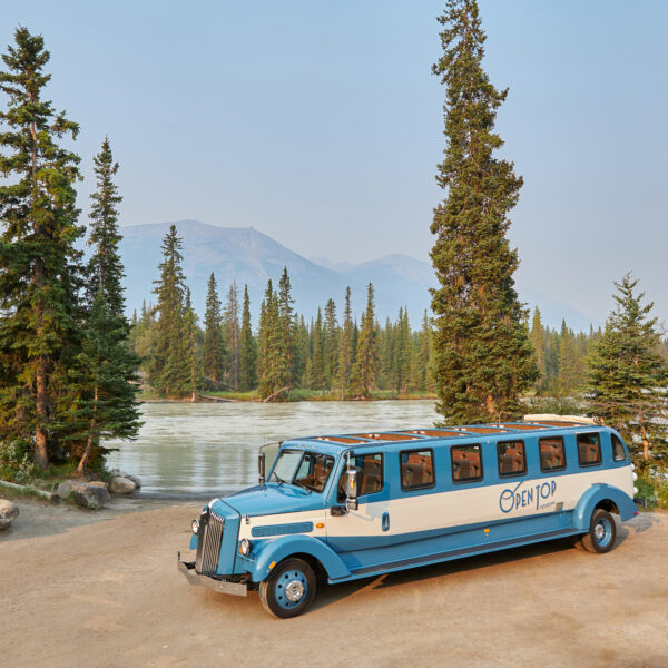 Chopard’s Alpine Eagle Collection Soars to New Heights | NUVO