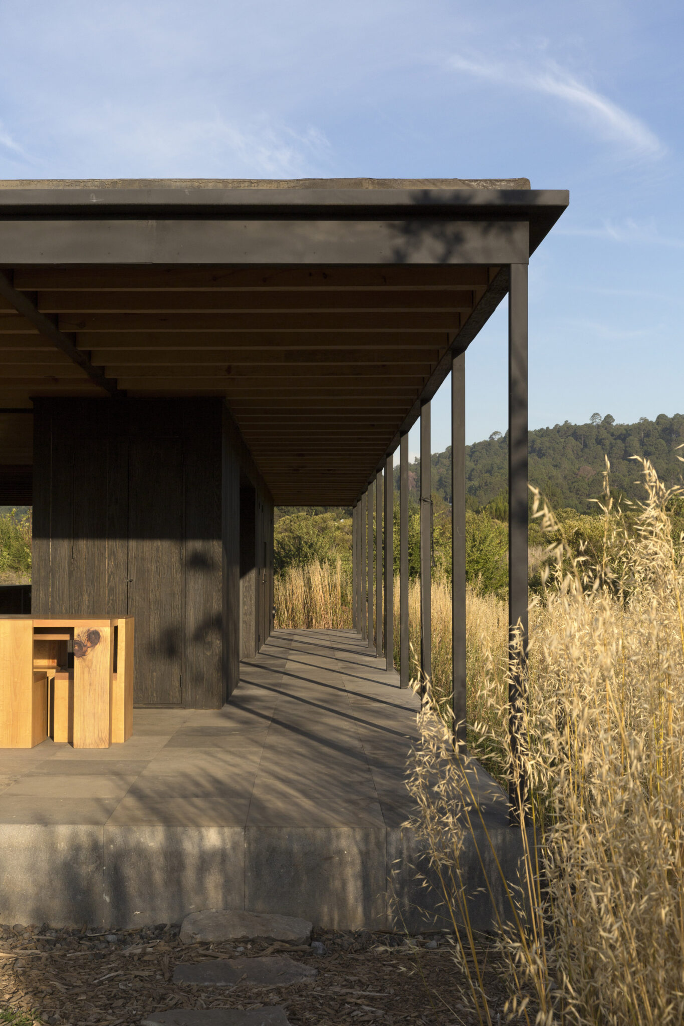 Home of the Week: Rain Harvest Home by JSa Arquitectura and Robert ...