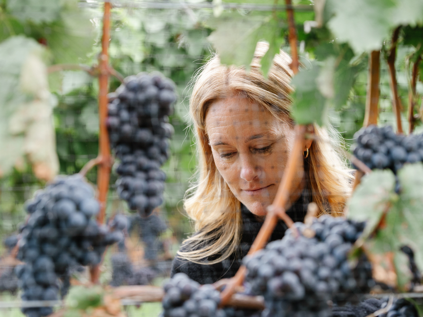 Honouring International Women’s Day | NUVO