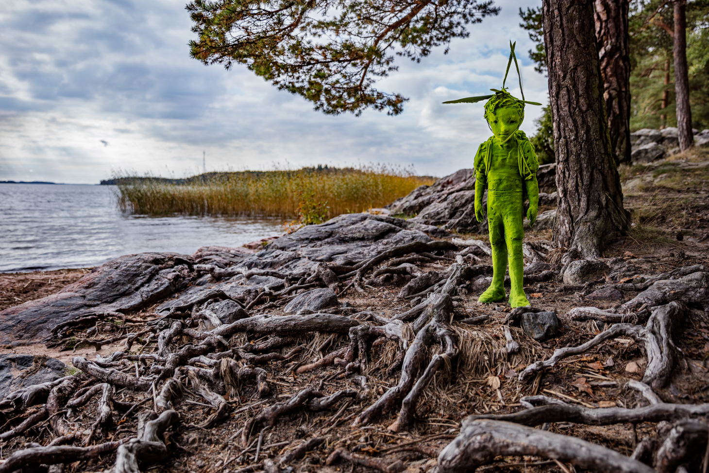 The Otherworldly Moss People of Kim Simonsson | NUVO