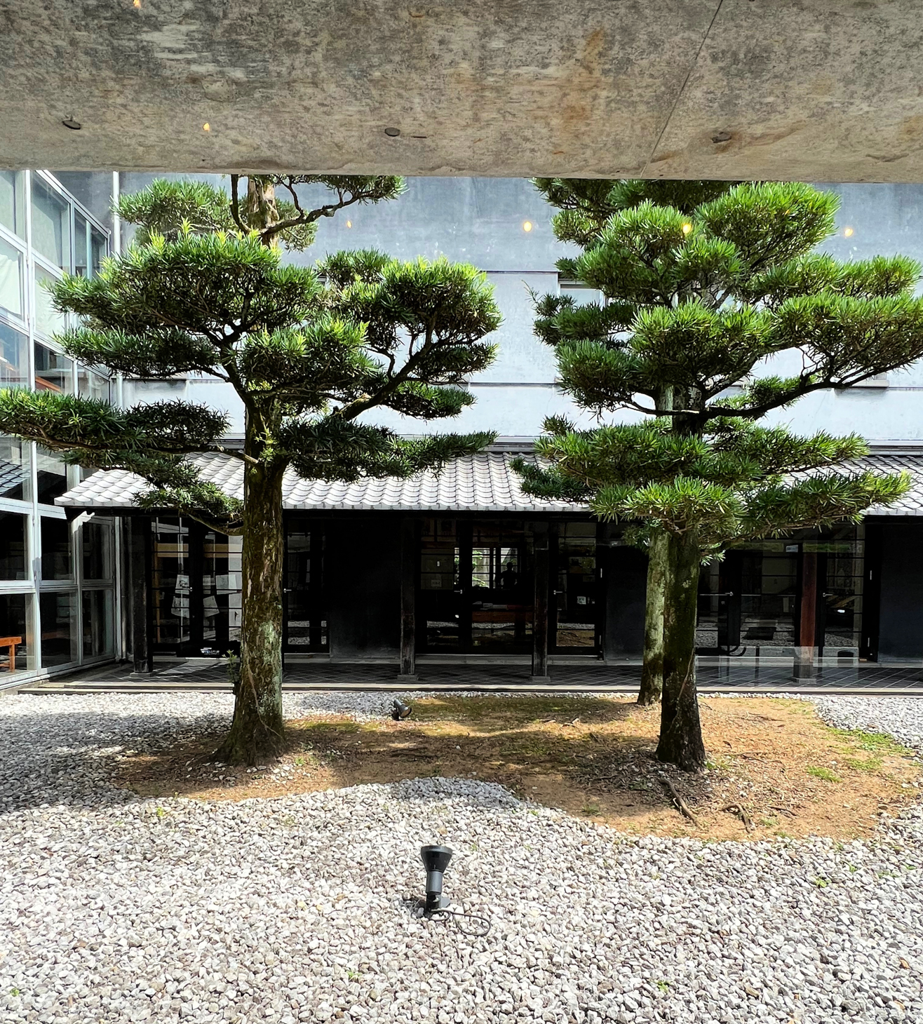 The Intangible Artistry of Tosa Washi Paper | NUVO