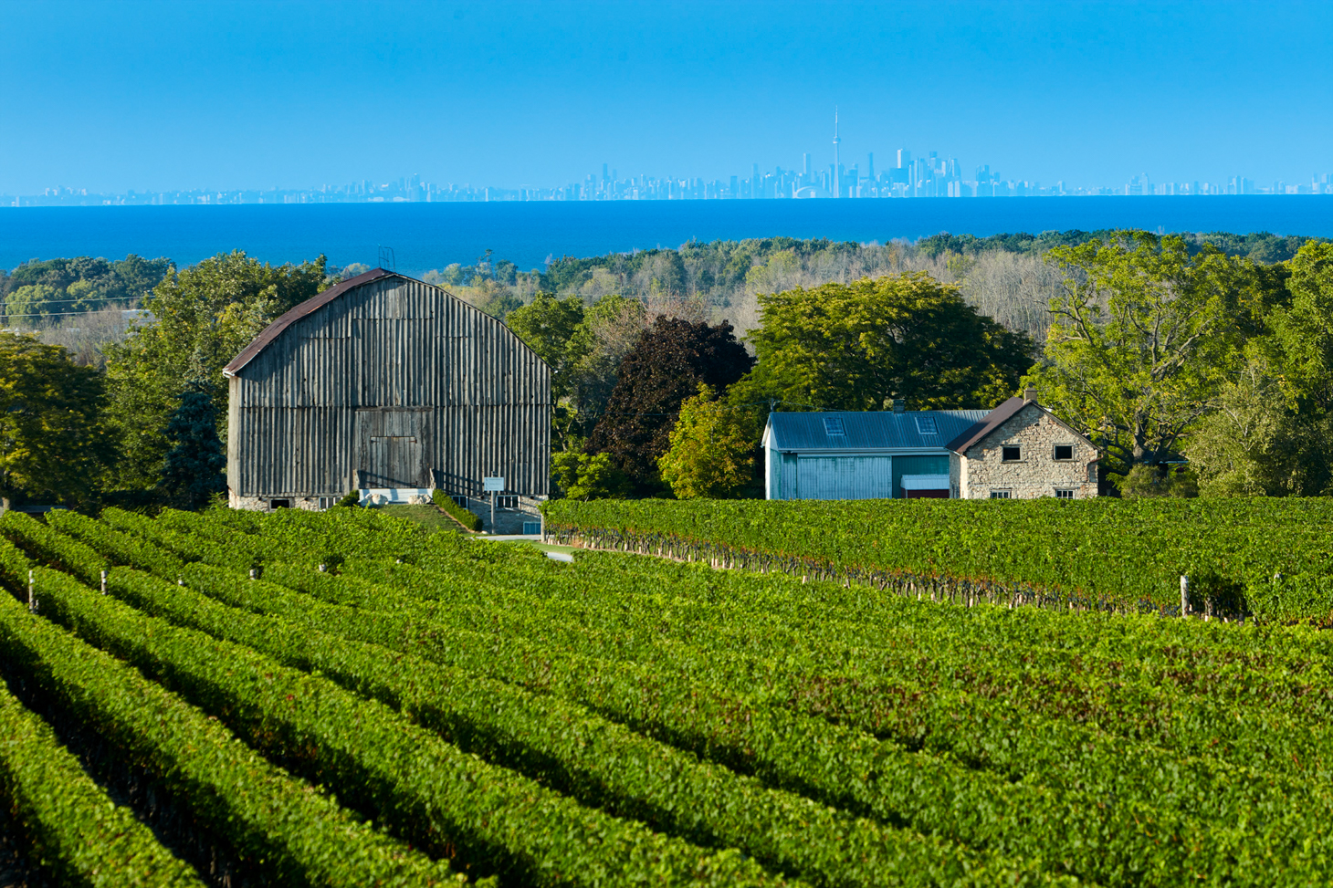 Niagara’s Cave Spring Winery Continues to Maintain a High Bar | NUVO