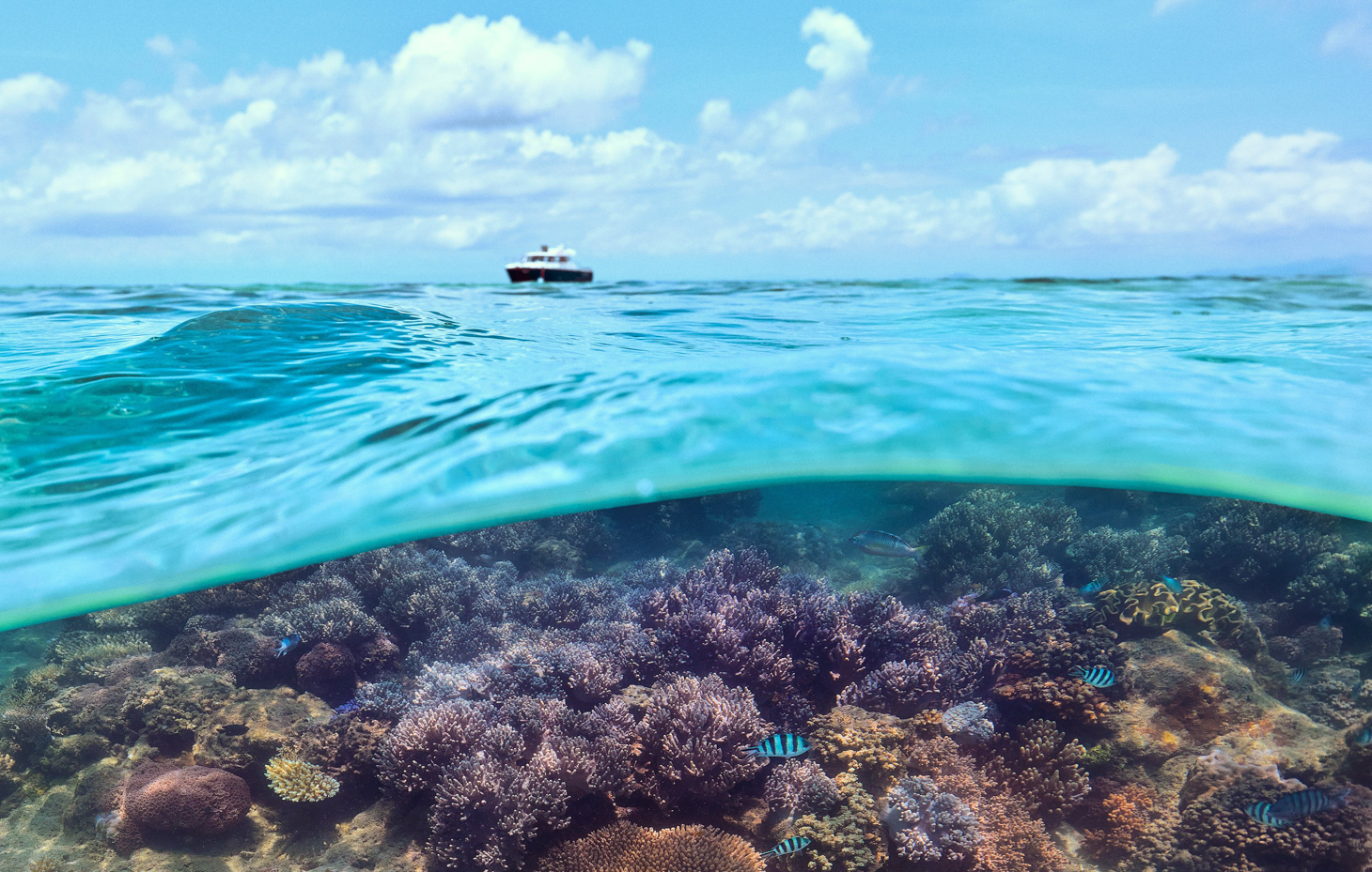 Staying in the Great Barrier Reef: Inside Australia’s Pelorus Private ...